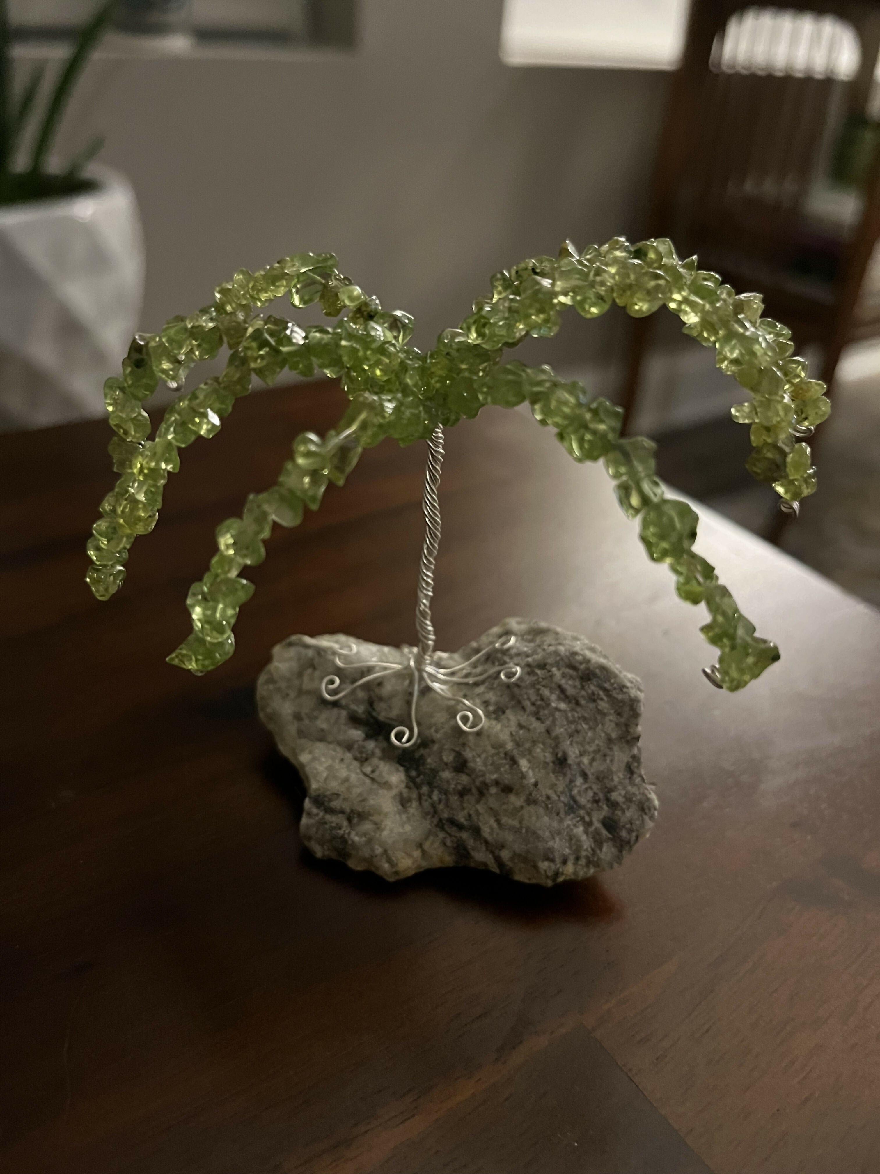 Peridot Palm Tree Tiny – Sip and Shop Cafe